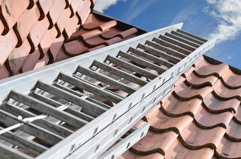 7 Best Roof Ladders Reviews 2024!